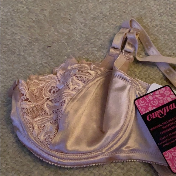 Carnival | Intimates & Sleepwear | Nwt Beautiful Minimizer Bra | Poshmark